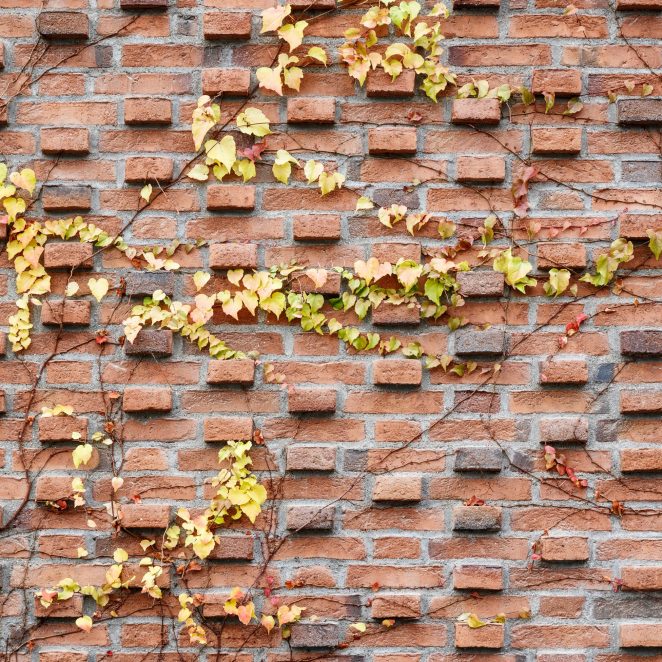 Mursten | Om mursten